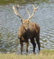 Naturist Ramblers - 2024 Walks Programme