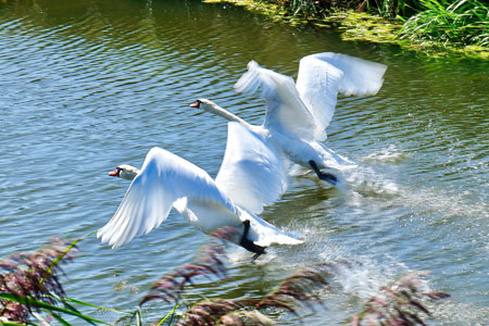 Naturist Ramblers - 2024 Walks Programme